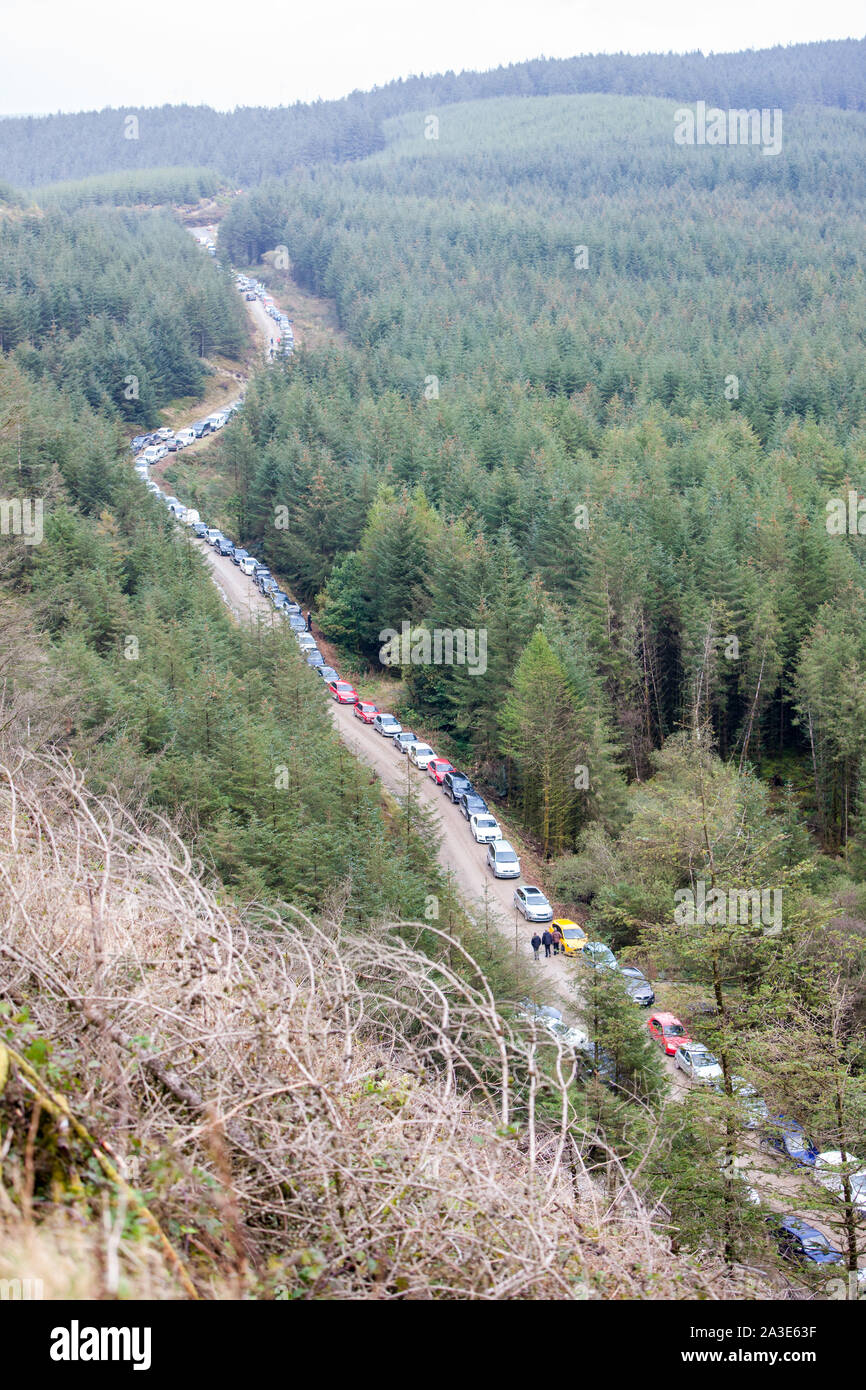 Welsh rally gb hi-res stock photography and images - Alamy
