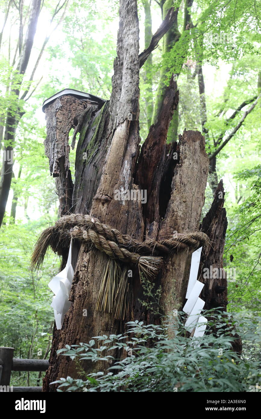 Shirine hi-res stock photography and images - Alamy