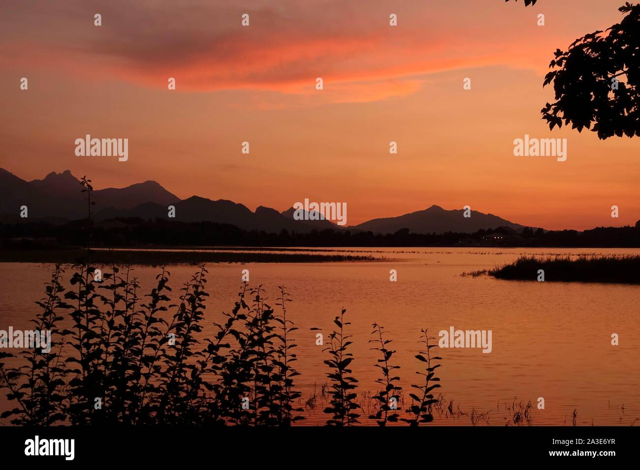 Lake Forggensee with mountain silhouettes in afterglow, Ostallgau ...