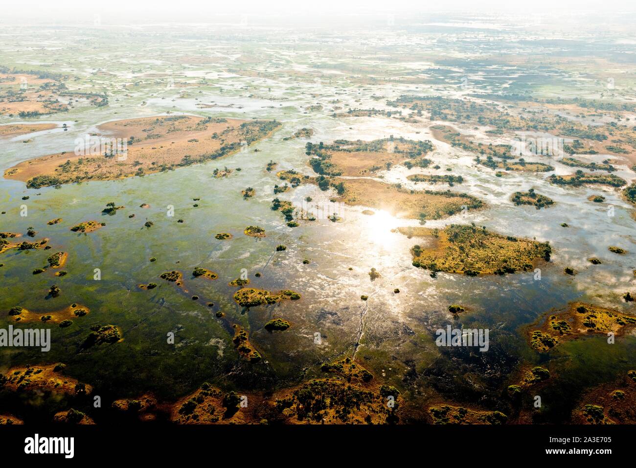 Swamp wetland okavango hi-res stock photography and images - Alamy