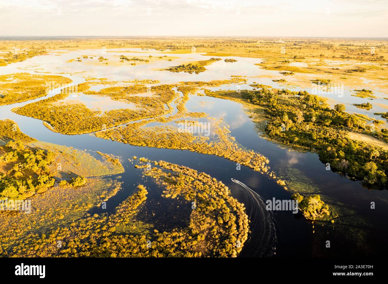 Aerial view, Swamp area, Okavango Delta, Botswana Stock Photo - Alamy
