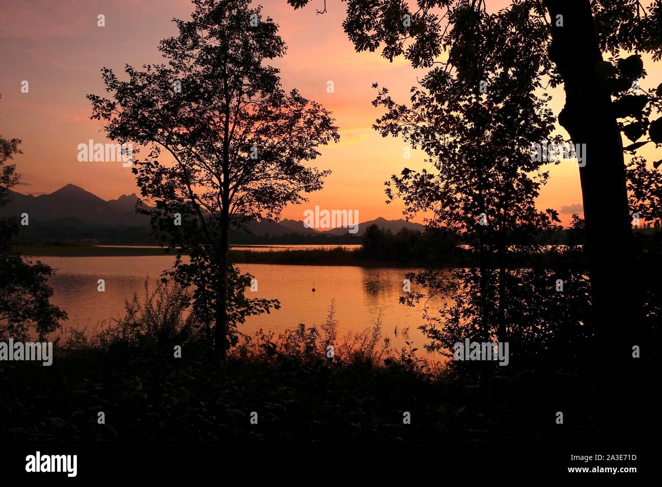 Lake Forggensee with mountain silhouettes in afterglow, Ostallgau ...