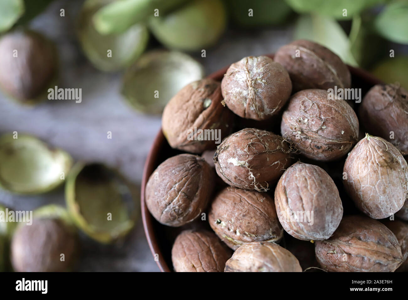Freshly walnuts in a bowl. Harvest walnuts. Walnuts peeled from green ...