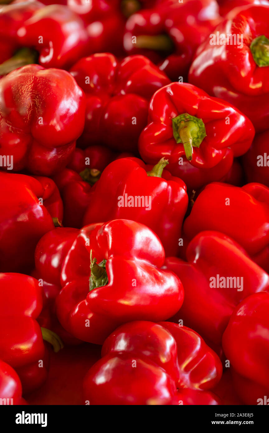 Bell peppers harvest hi-res stock photography and images - Alamy