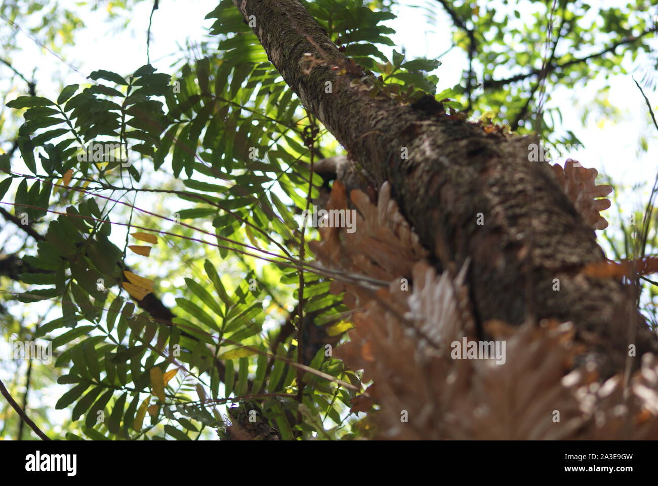 Natural beauty of god hi-res stock photography and images - Alamy