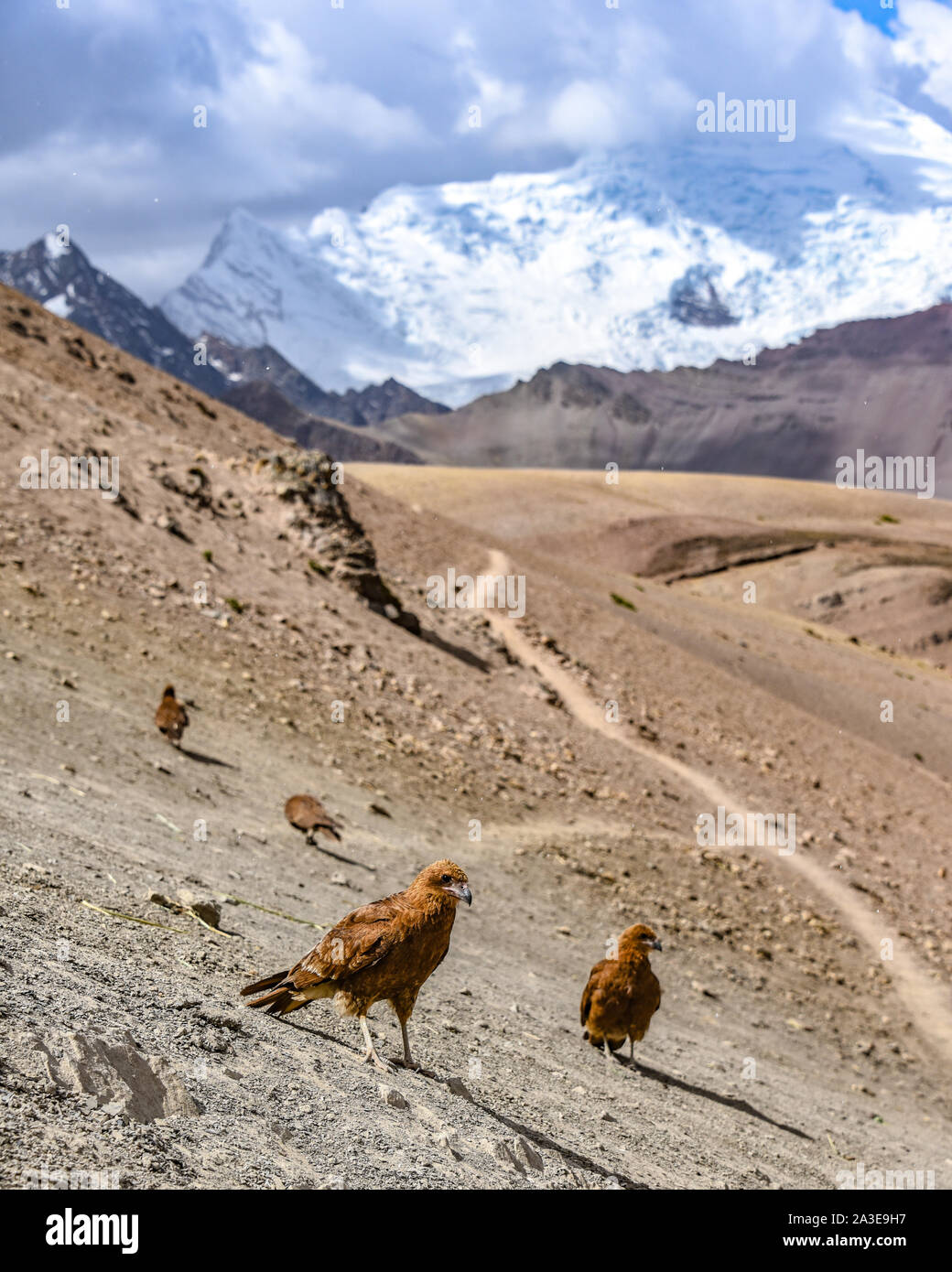 Cara quechua hi-res stock photography and images - Alamy