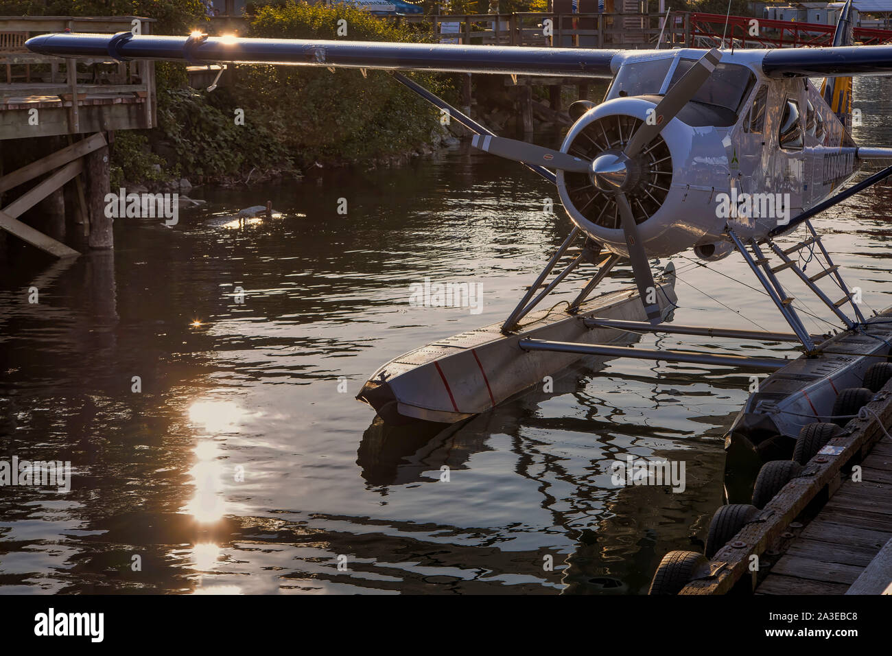 De Havilland Beaver Floatplane High Resolution Stock Photography and ...