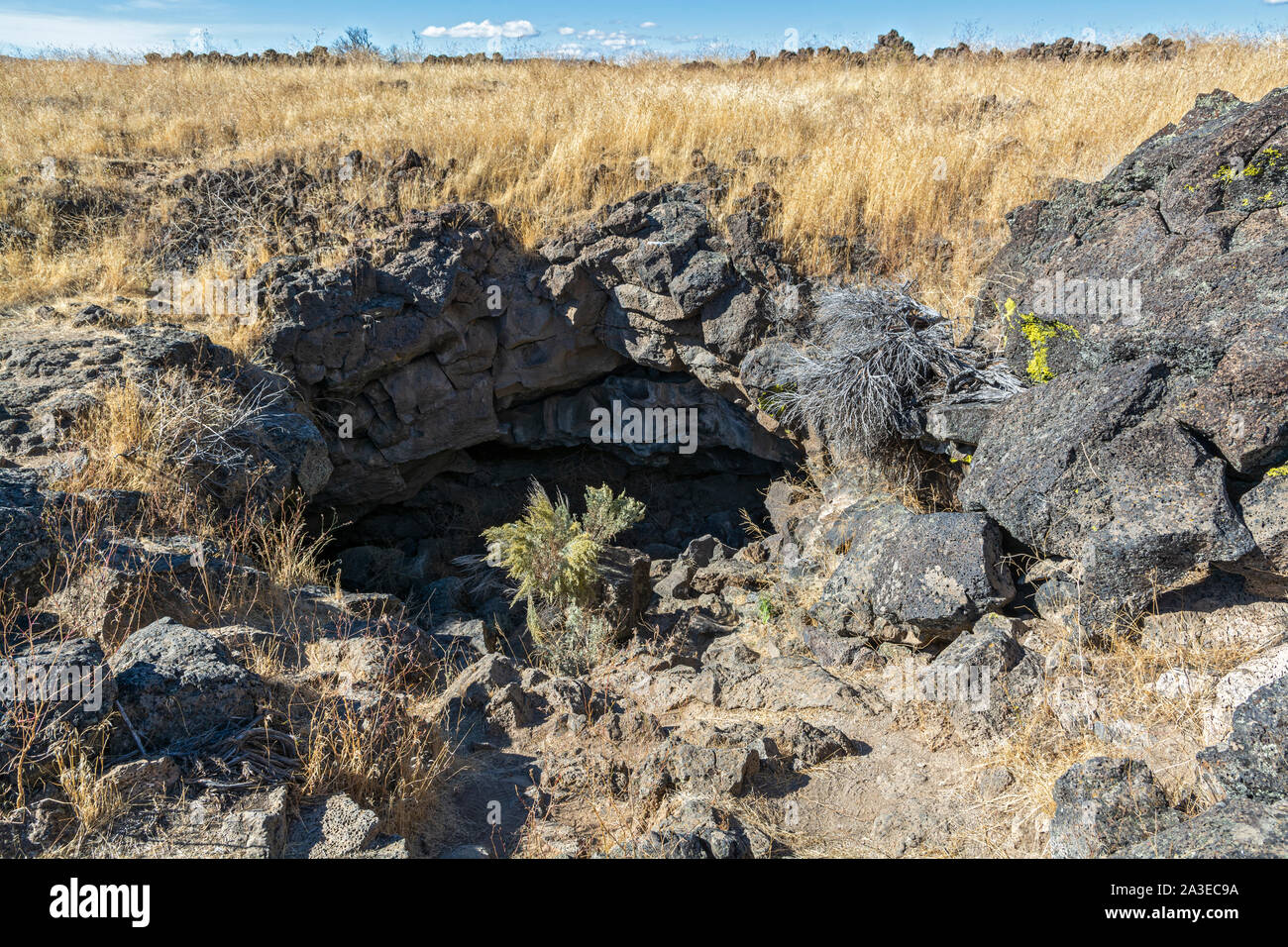 Modoc Plateau Geology