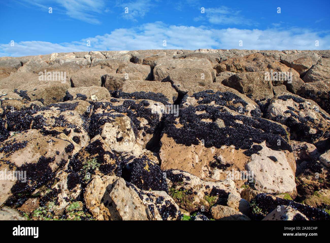 scenery with big coastal rocks Stock Photo - Alamy