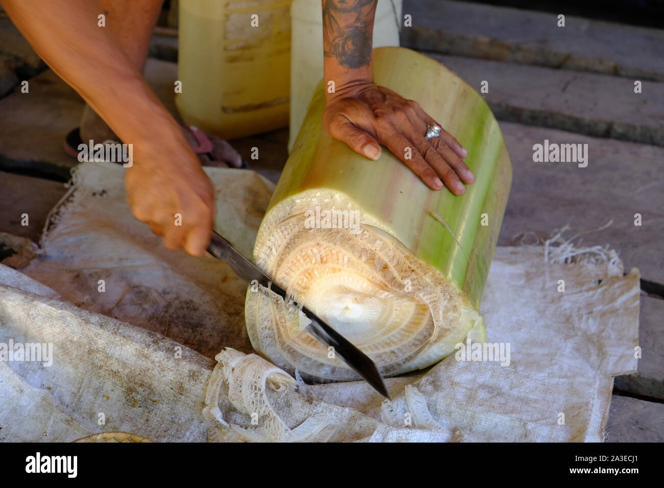 Indonesia Sumba Island processing bamboo trunk by native Stock Photo ...