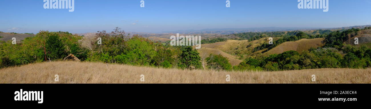 Indonesia Sumba Island East Sumba view over grassland landscape, trees ...