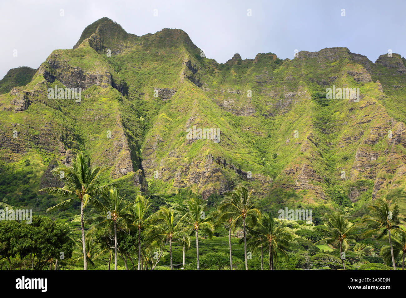Green cliffs of Kualoa Ranch, Oahu, Hawaii Stock Photo - Alamy