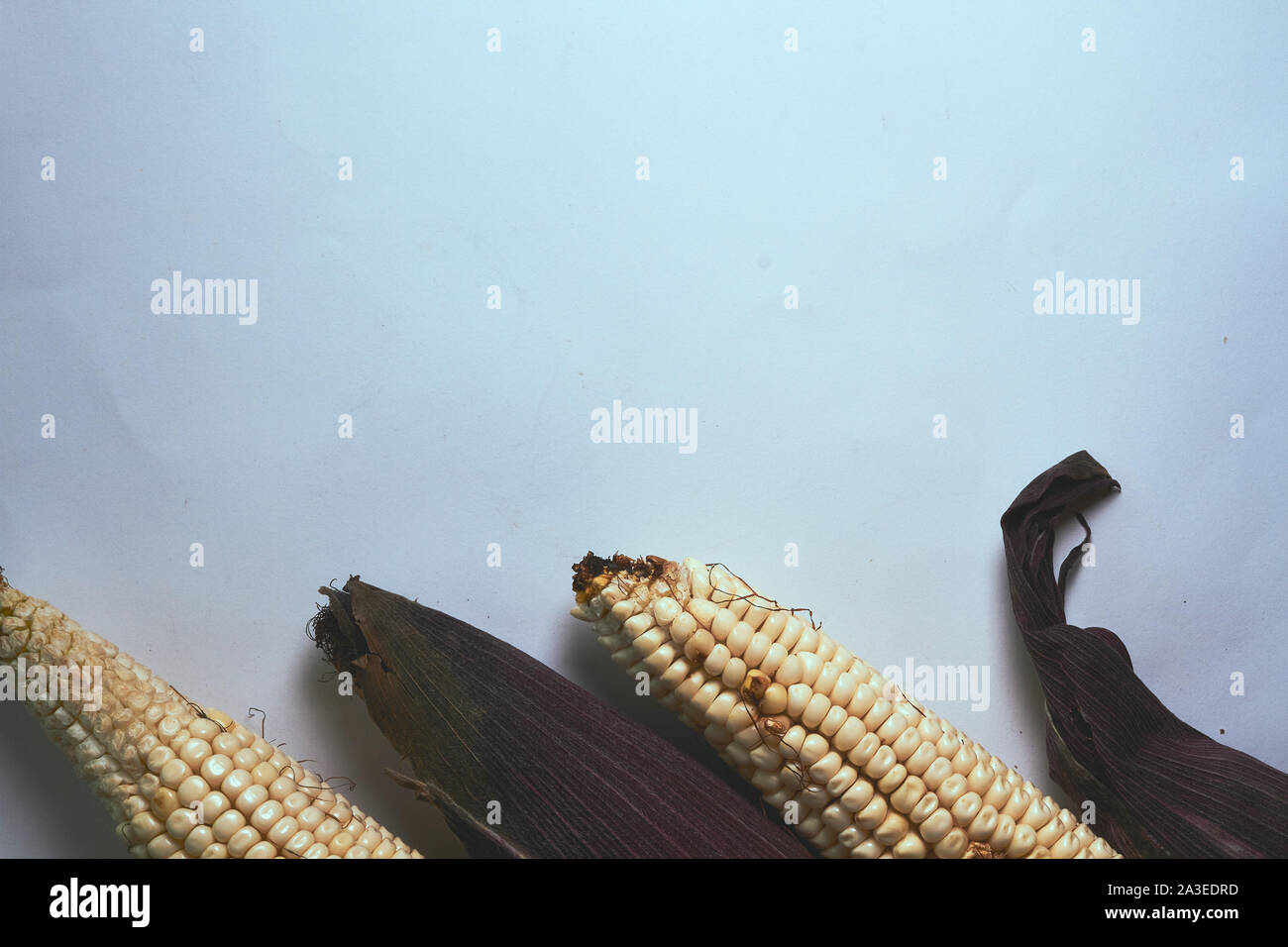 Indian corn rainbow colors hi-res stock photography and images - Alamy