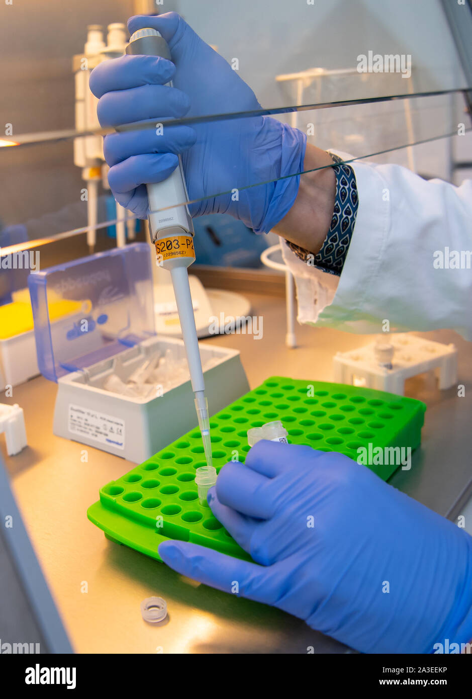 Munich, Germany. 20th Sep, 2019. A laboratory employee in the DNA ...