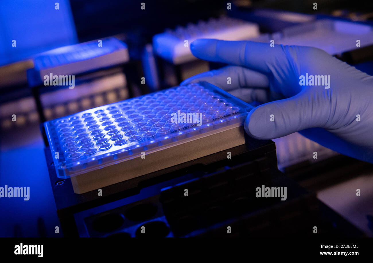 Munich, Germany. 20th Sep, 2019. A laboratory employee in the DNA ...