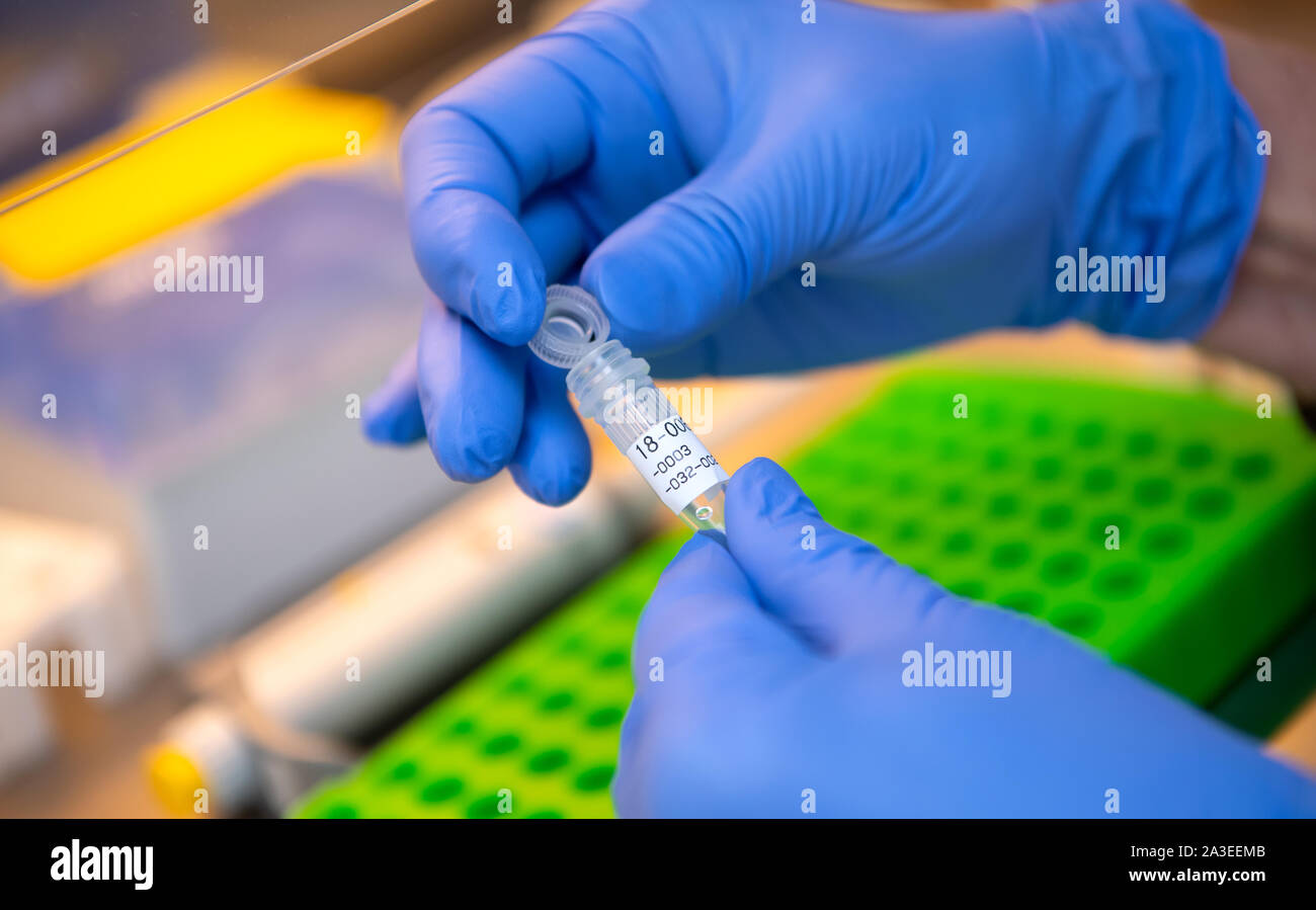Munich, Germany. 20th Sep, 2019. A laboratory employee in the DNA ...