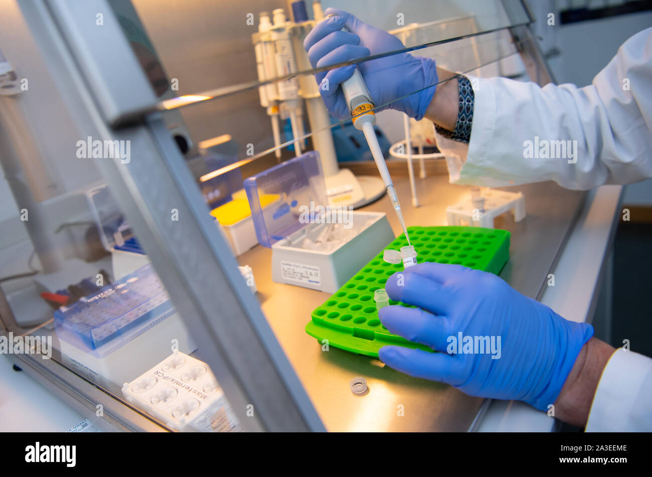Munich, Germany. 20th Sep, 2019. A laboratory employee in the DNA ...