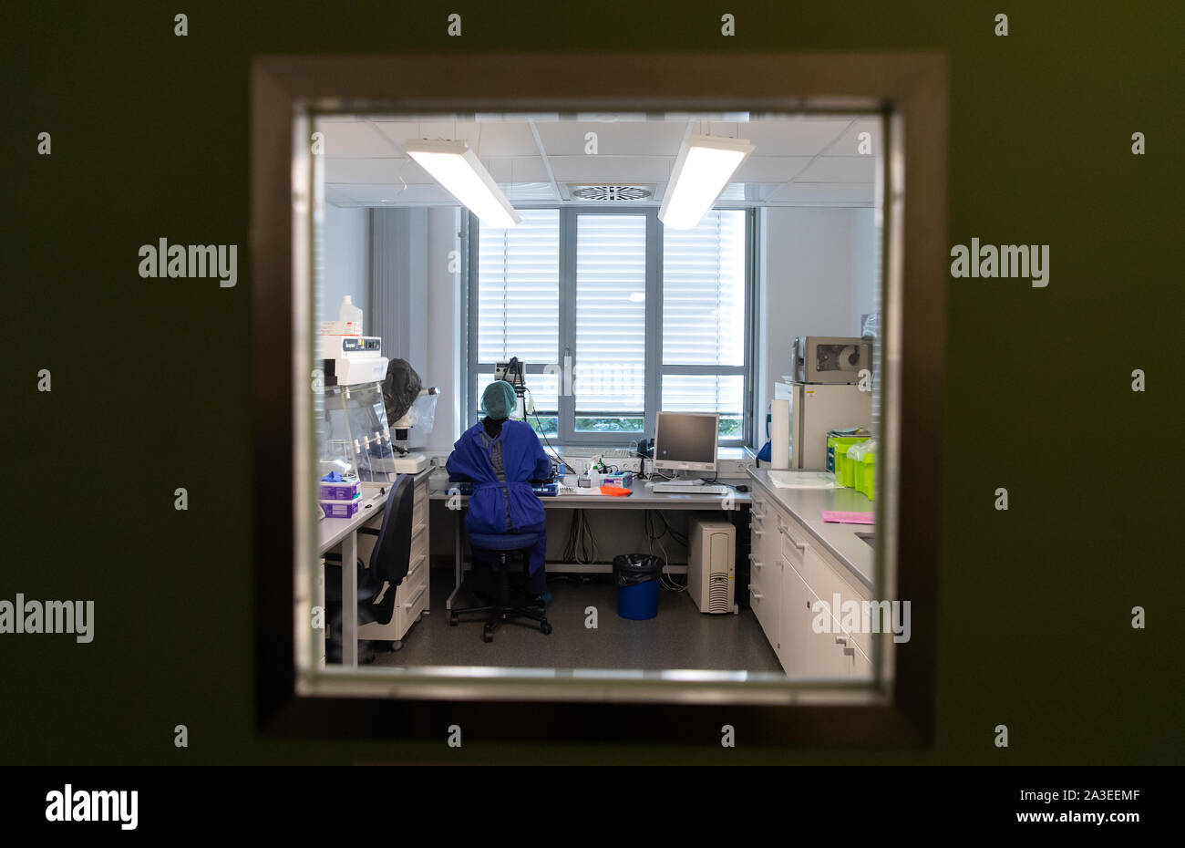 Munich, Germany. 20th Sep, 2019. A laboratory employee in the DNA ...