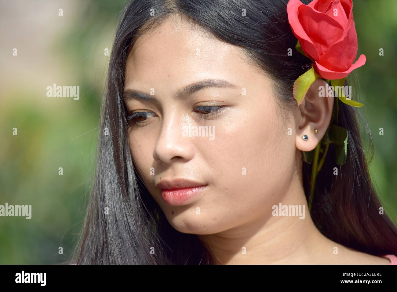 Serious Asian Person With A Rose Stock Photo - Alamy