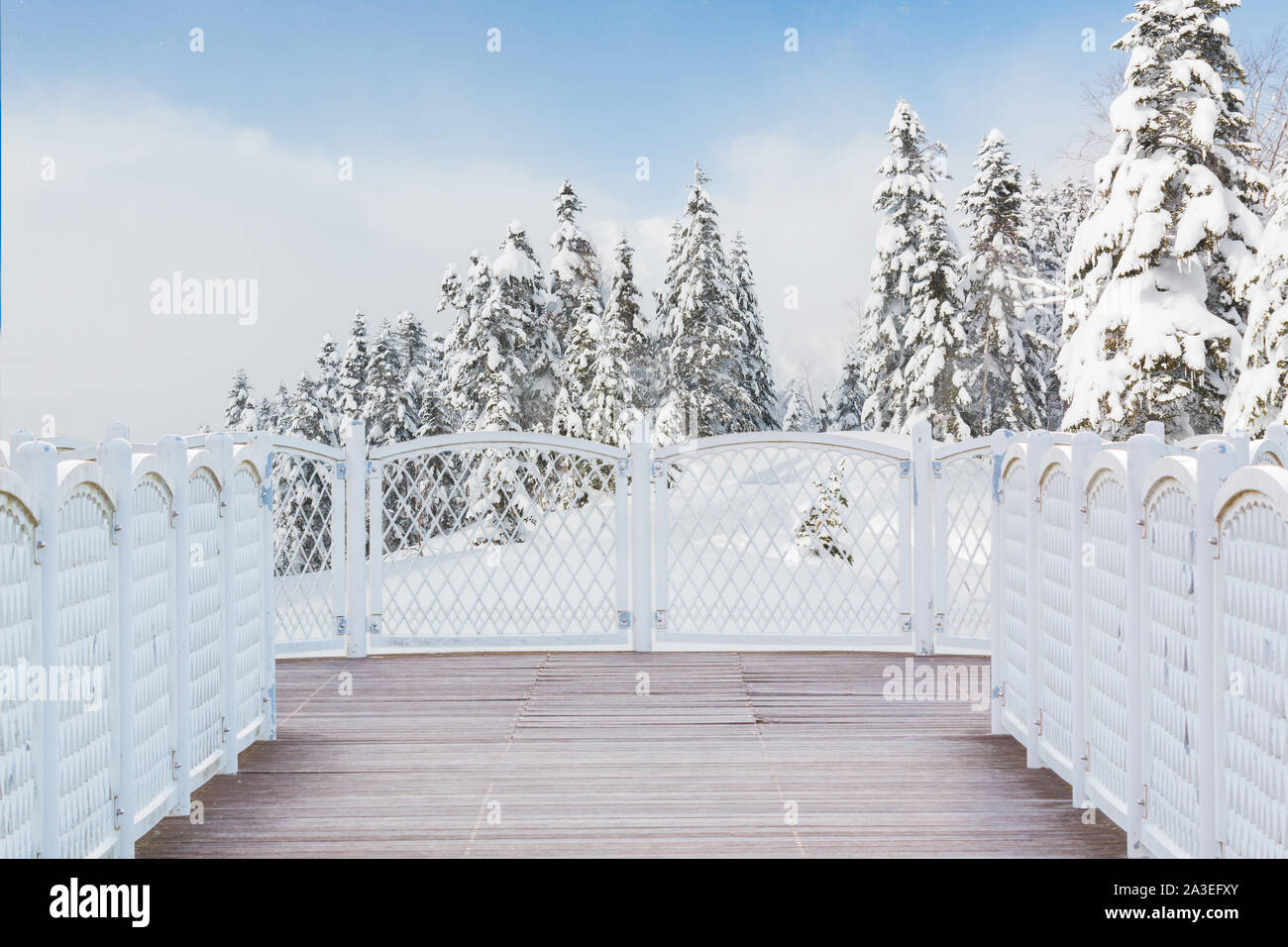 White balcony with perspective wood floor on nature background Stock ...