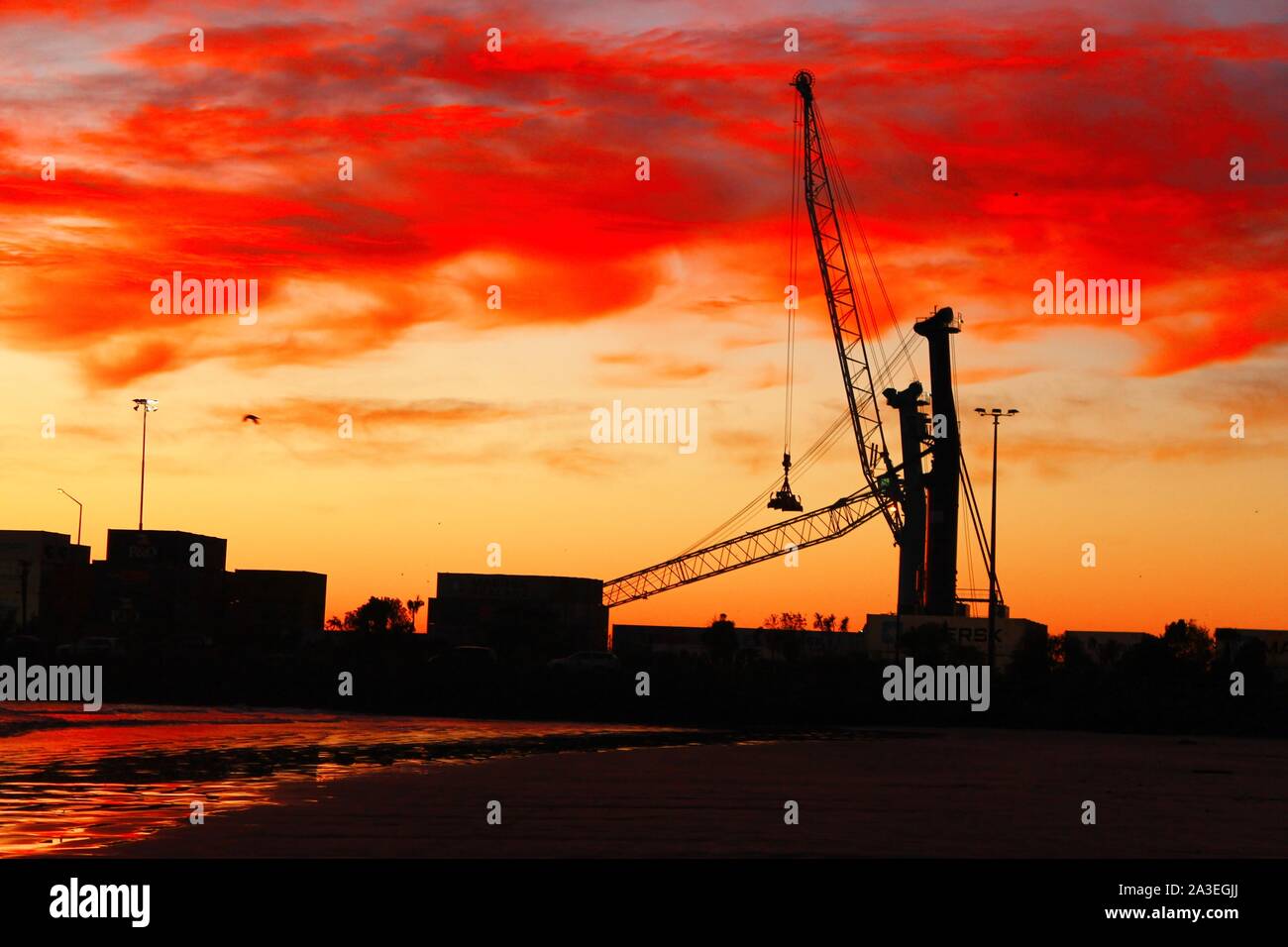 Caroline bay hi-res stock photography and images - Alamy