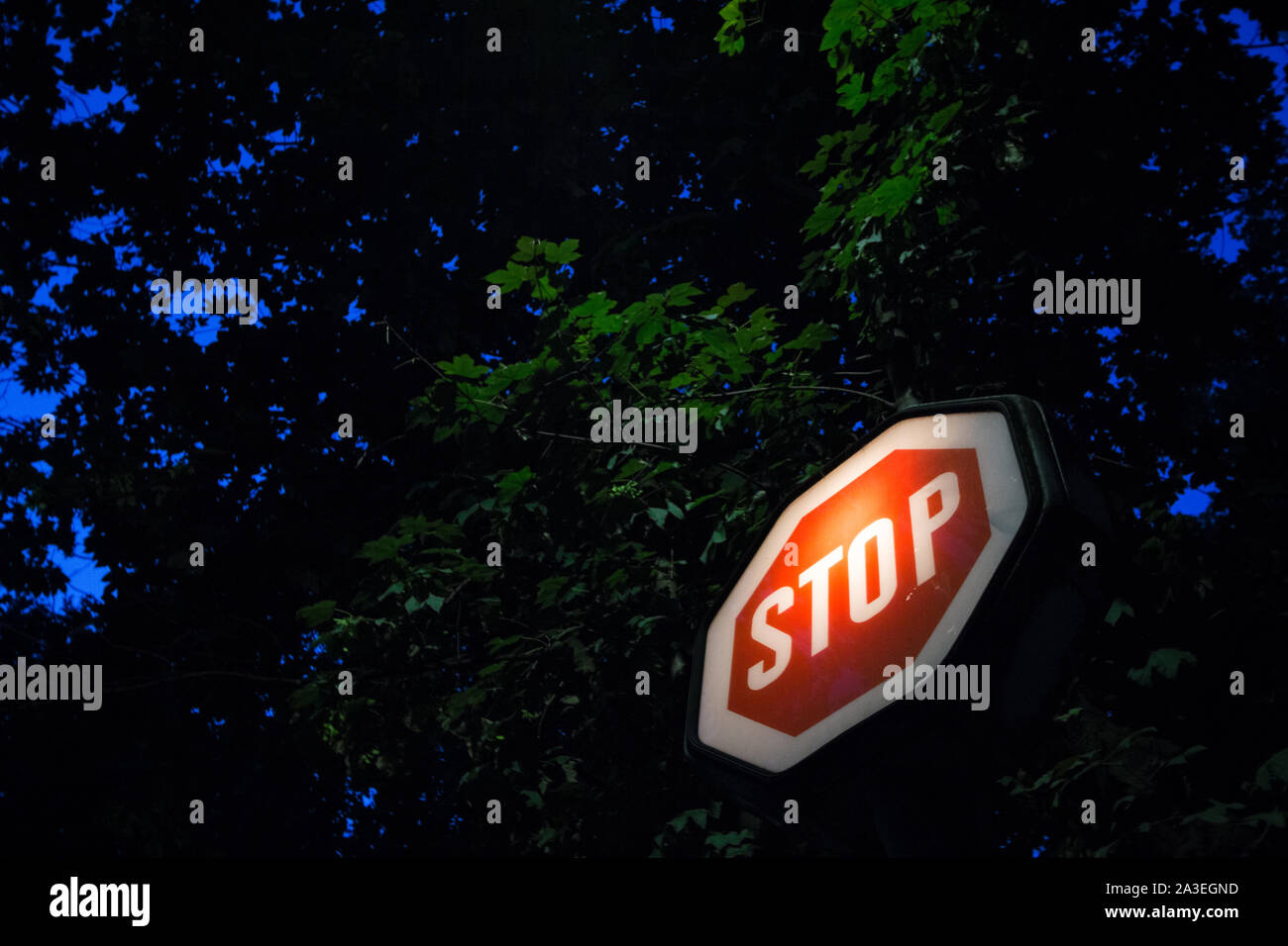 European stop stign hi-res stock photography and images - Alamy