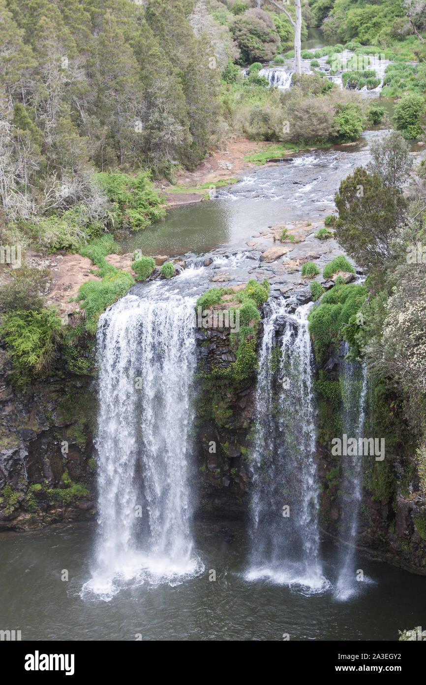Dangar Falls, Dorrigo NSW Australia Stock Photo - Alamy