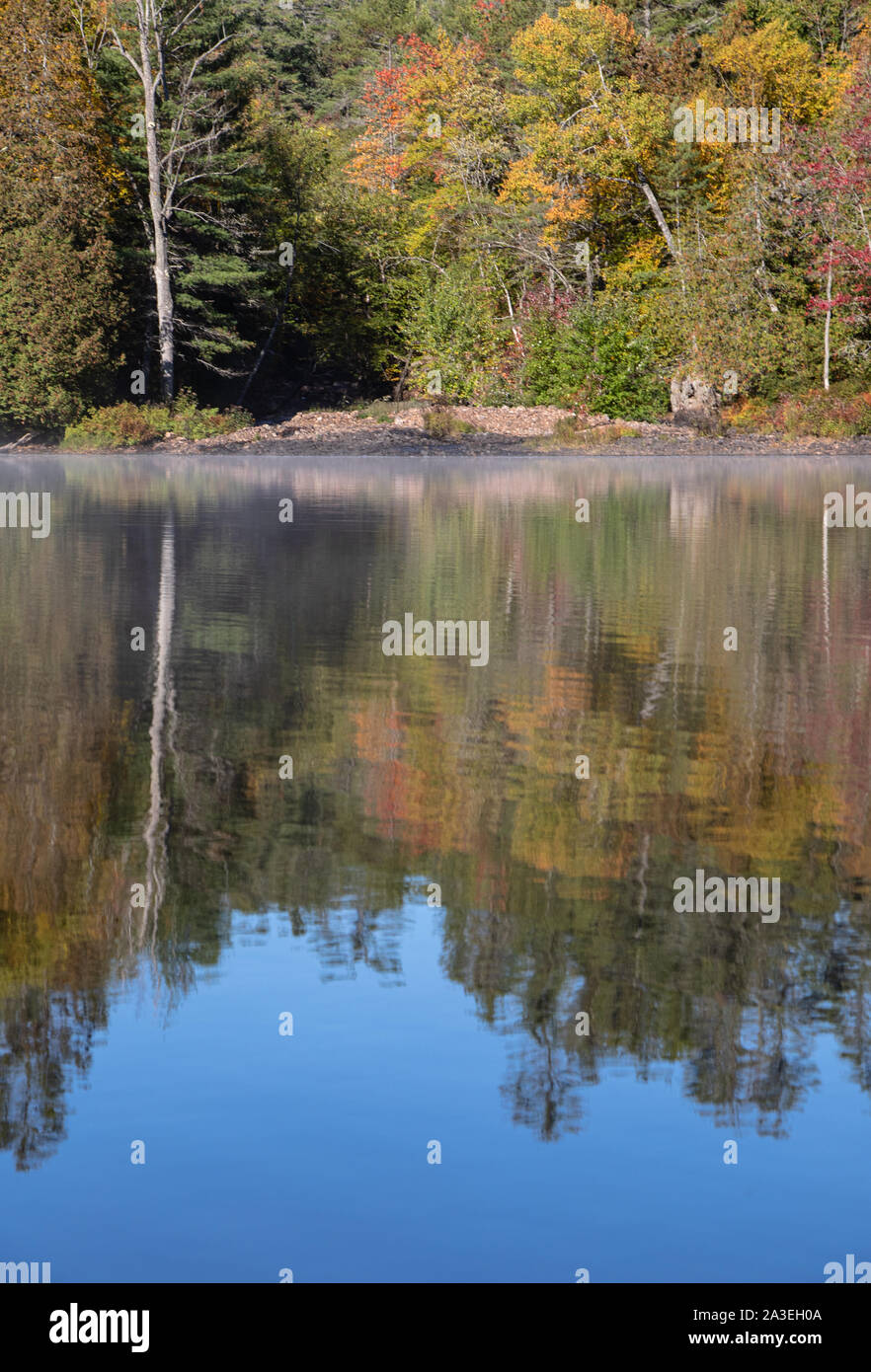 Beautiful textures and colours on the Barron River in Algonquin Park in ...