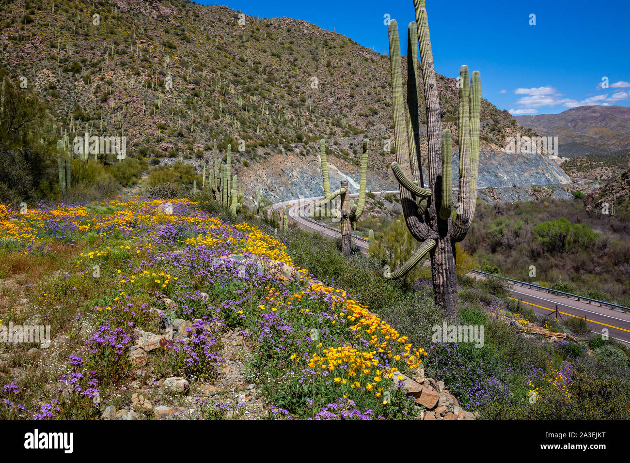 Highway through the wilderness hi-res stock photography and images - Alamy