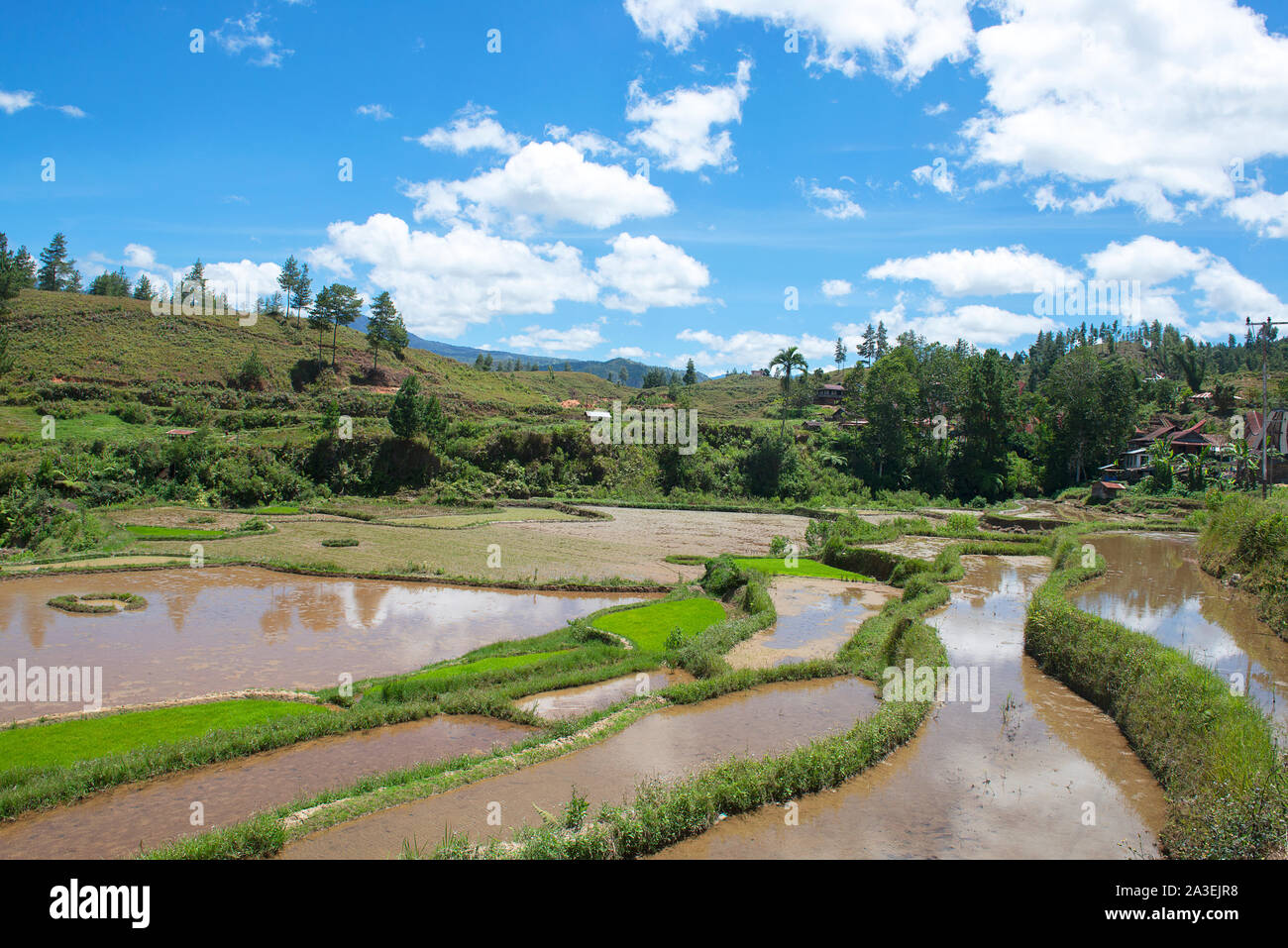 Traditional Alang rice barn, Rantepao, Tana Toraja, South Sulawesi ...