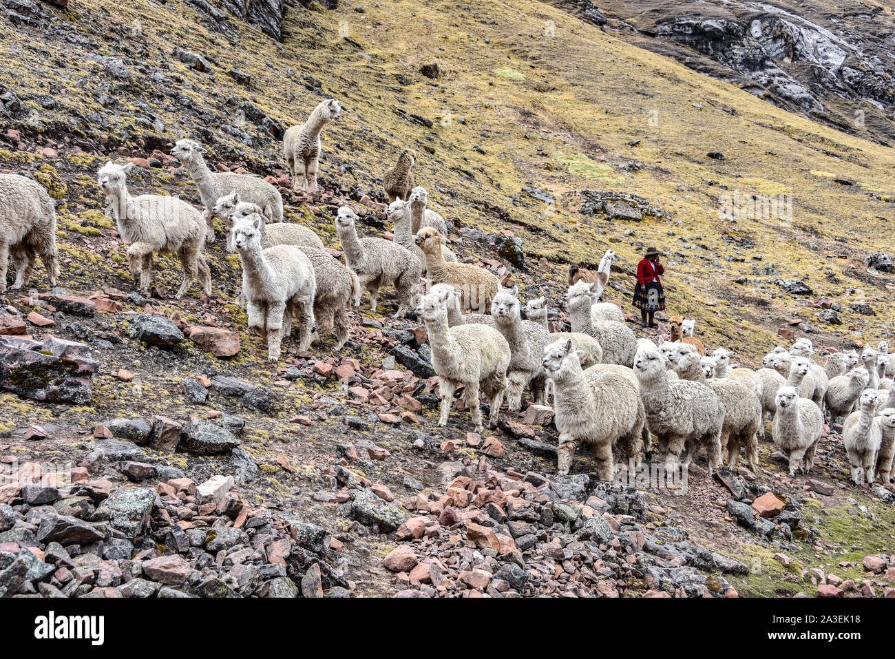 Farming andes hi-res stock photography and images - Alamy