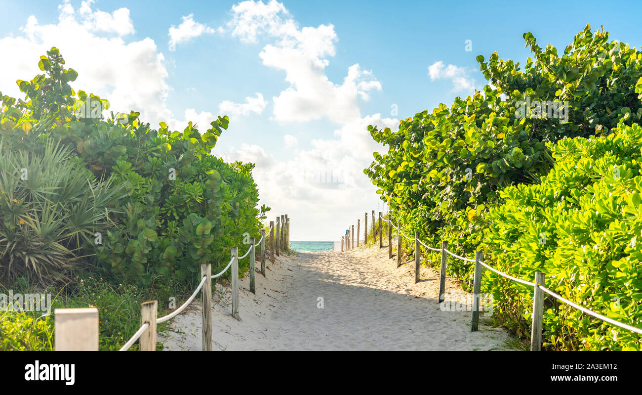 Pathway to the beach in Miami Florida with the ocean background Stock ...