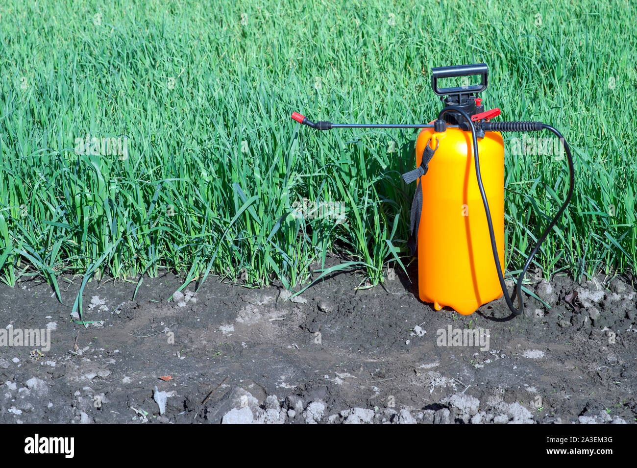 Sprayer with orange balloon and hose on a background of green shoots ...