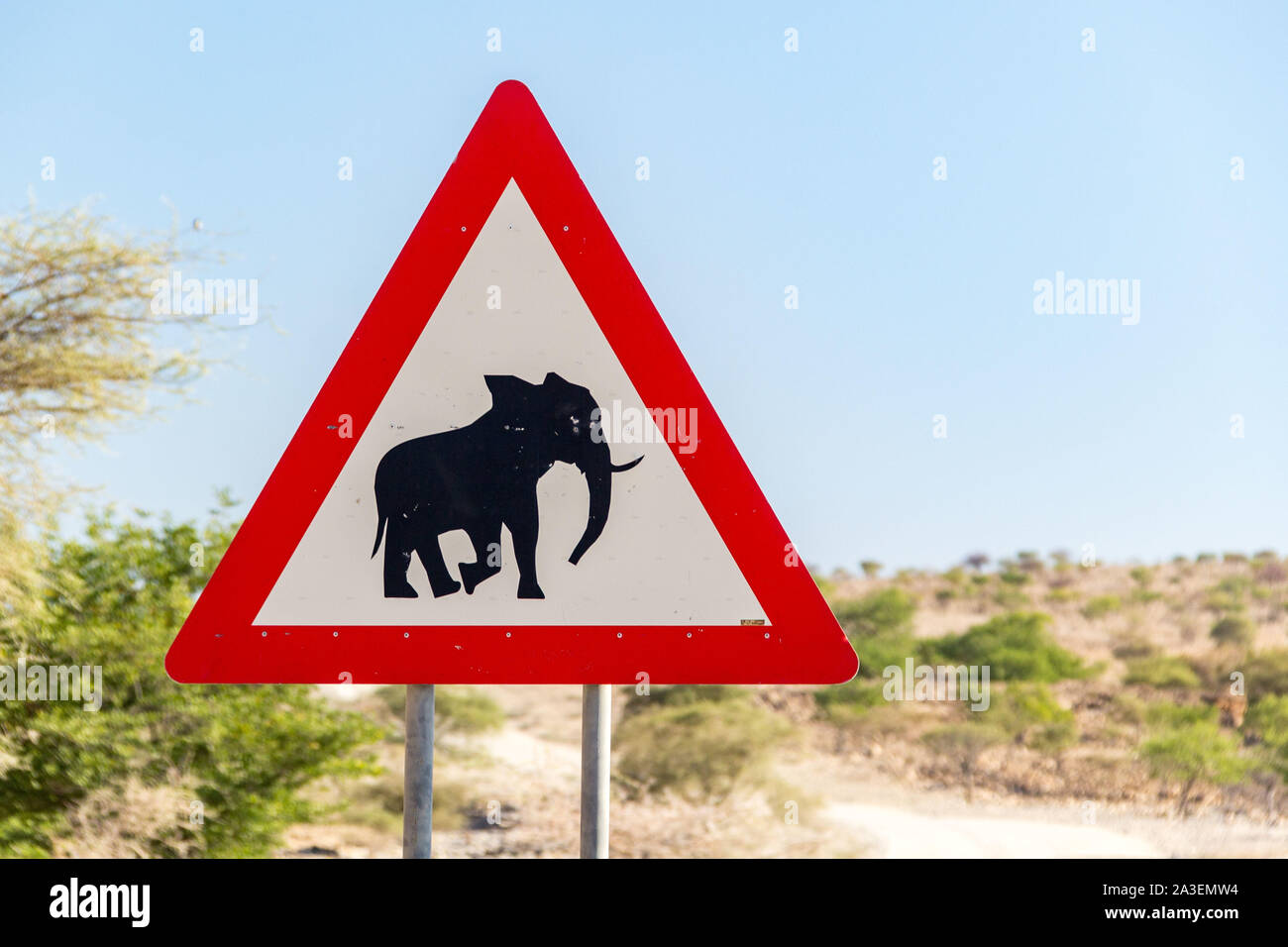 Traffic sign with elephant warning, Namibia, Africa Stock Photo - Alamy