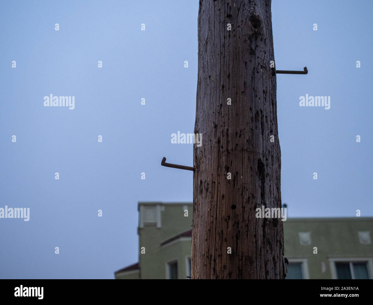 Power utility pole in residential area with foot steps to climb Stock ...