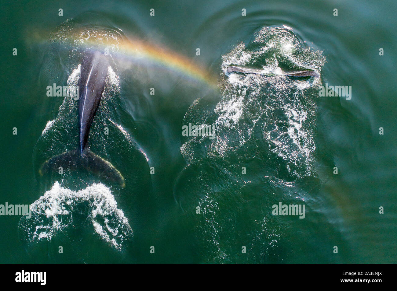 Aerial view of rainbow hi-res stock photography and images - Alamy