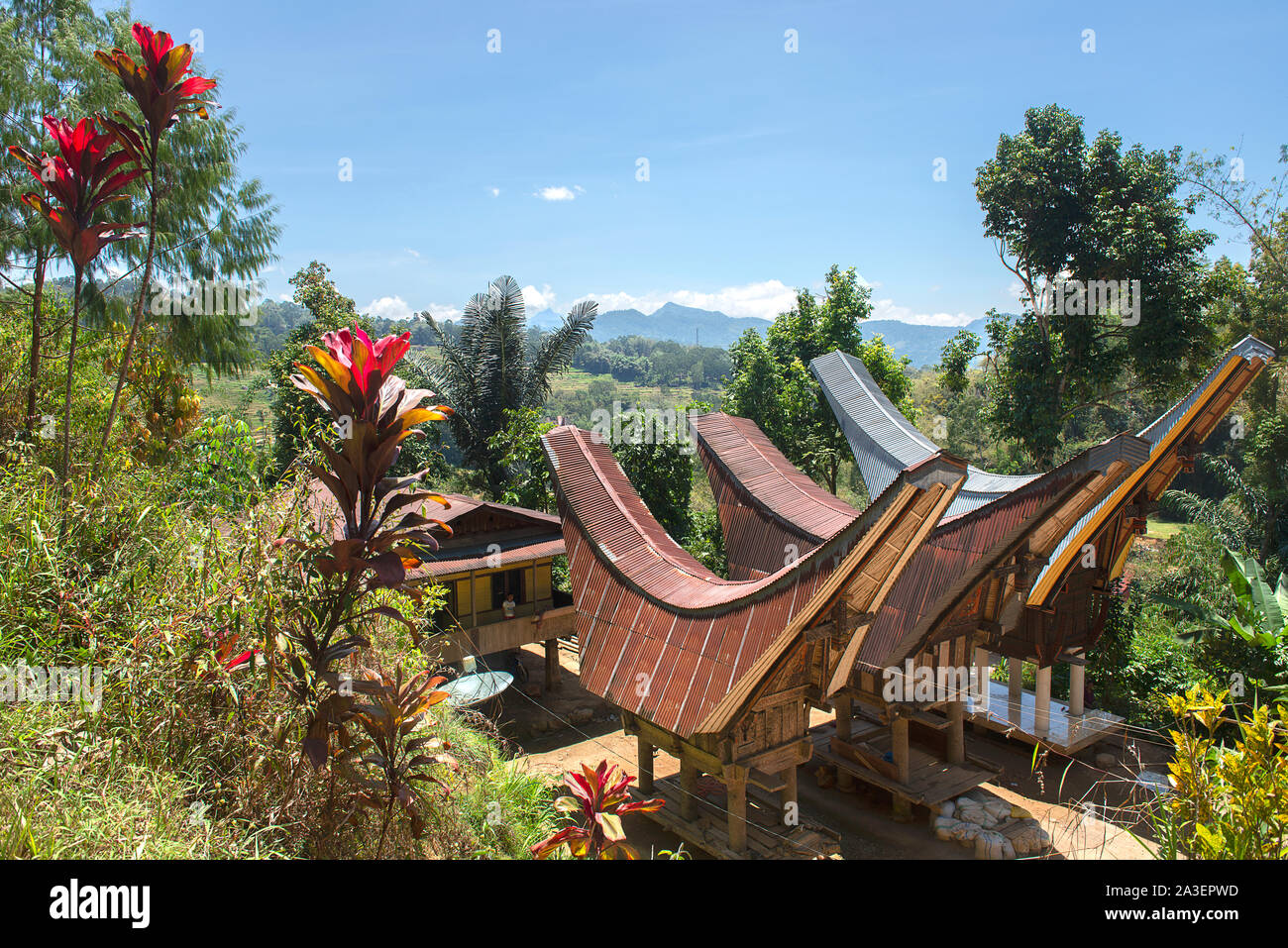 Traditional Alang rice barn, Rantepao, Tana Toraja, South Sulawesi ...