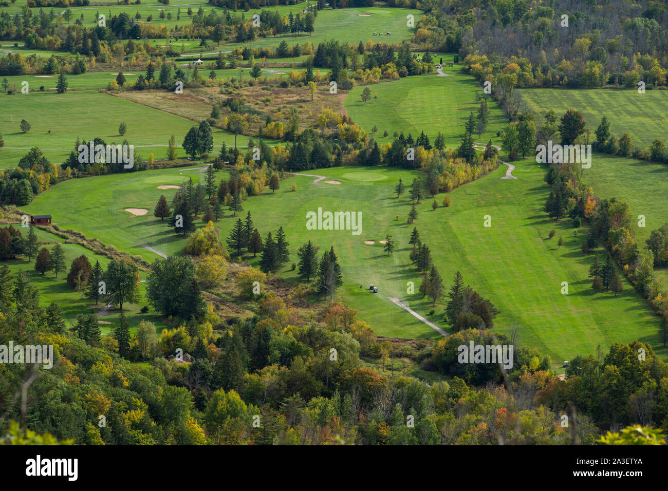 Golf course seen from above during autumn, with pine trees and other ...