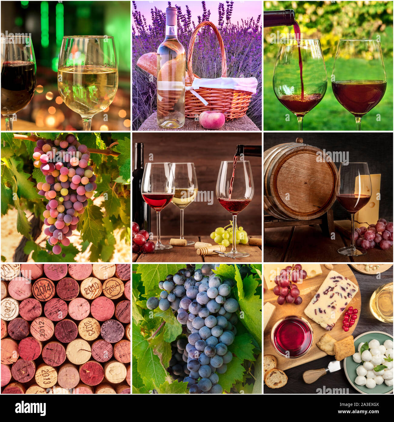 Wine Collage. Many photos of grapes, wine glasses, barrels, corks, a ...