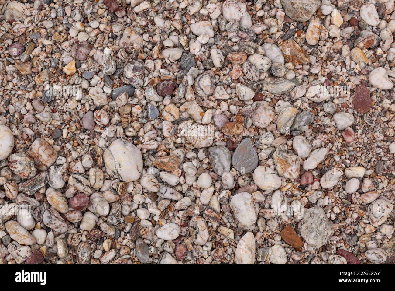 Pebbles on Hope Cove beach, Kingsbridge, Devon, England, United Kingdom ...