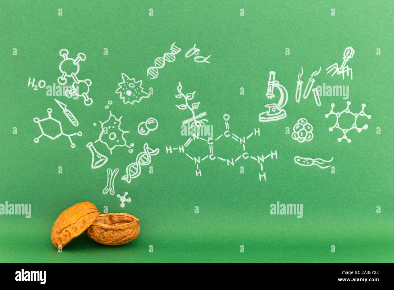 Concept of the phrase biology in a nutshell. Biological formulas and ...