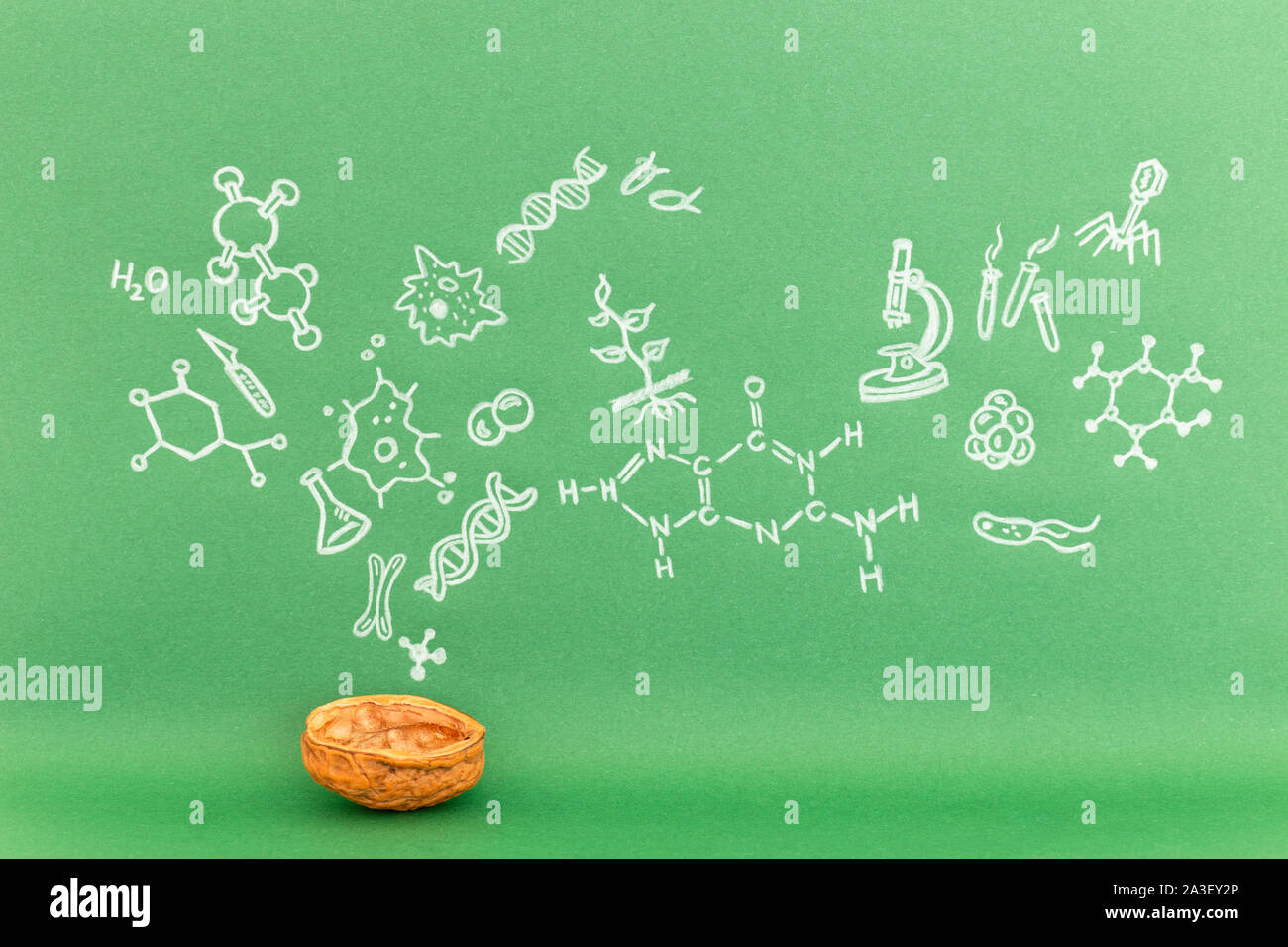 Concept of the phrase biology in a nutshell. Biological formulas and ...