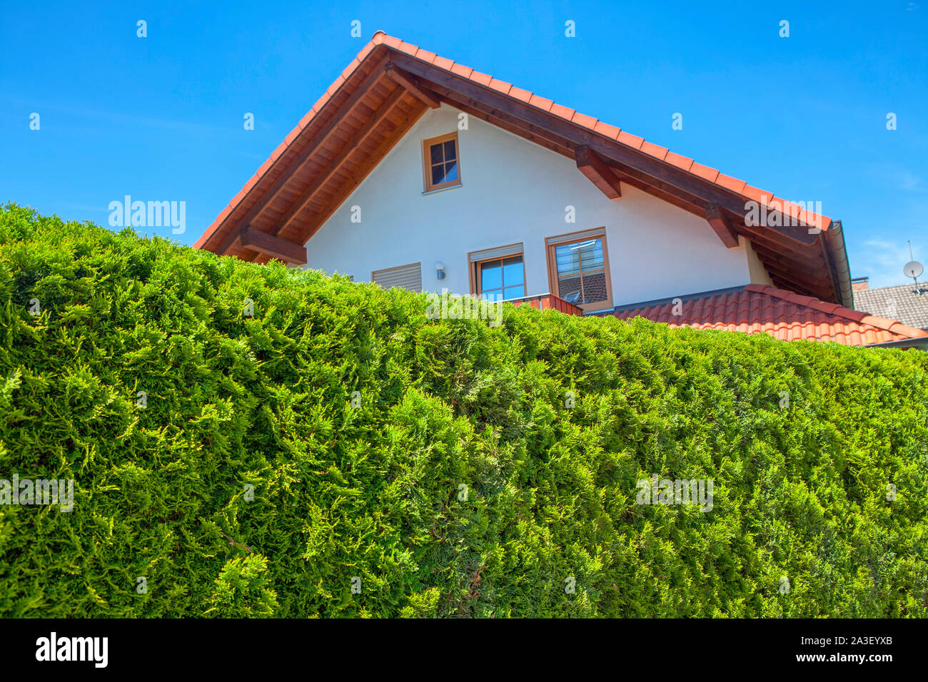 house in ecological area with green natural fence Stock Photo - Alamy