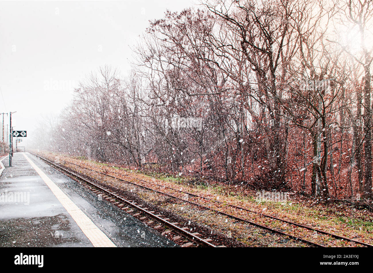 Onuma koen station hi-res stock photography and images - Alamy