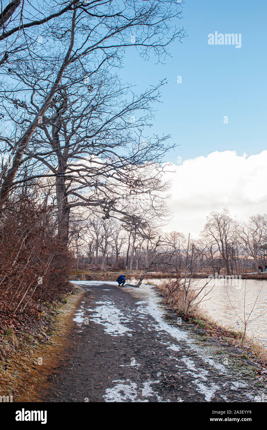 Onuma Koen Quasi -National park lake nature trail in peaceful cold ...
