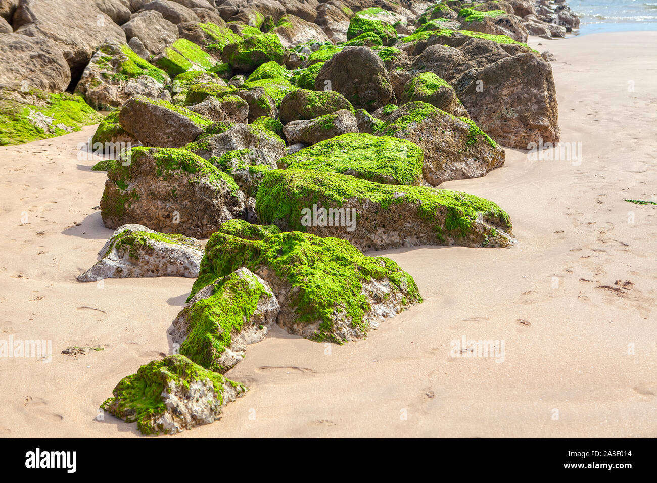 natural rocks covered by moss on the ocean shore Stock Photo - Alamy