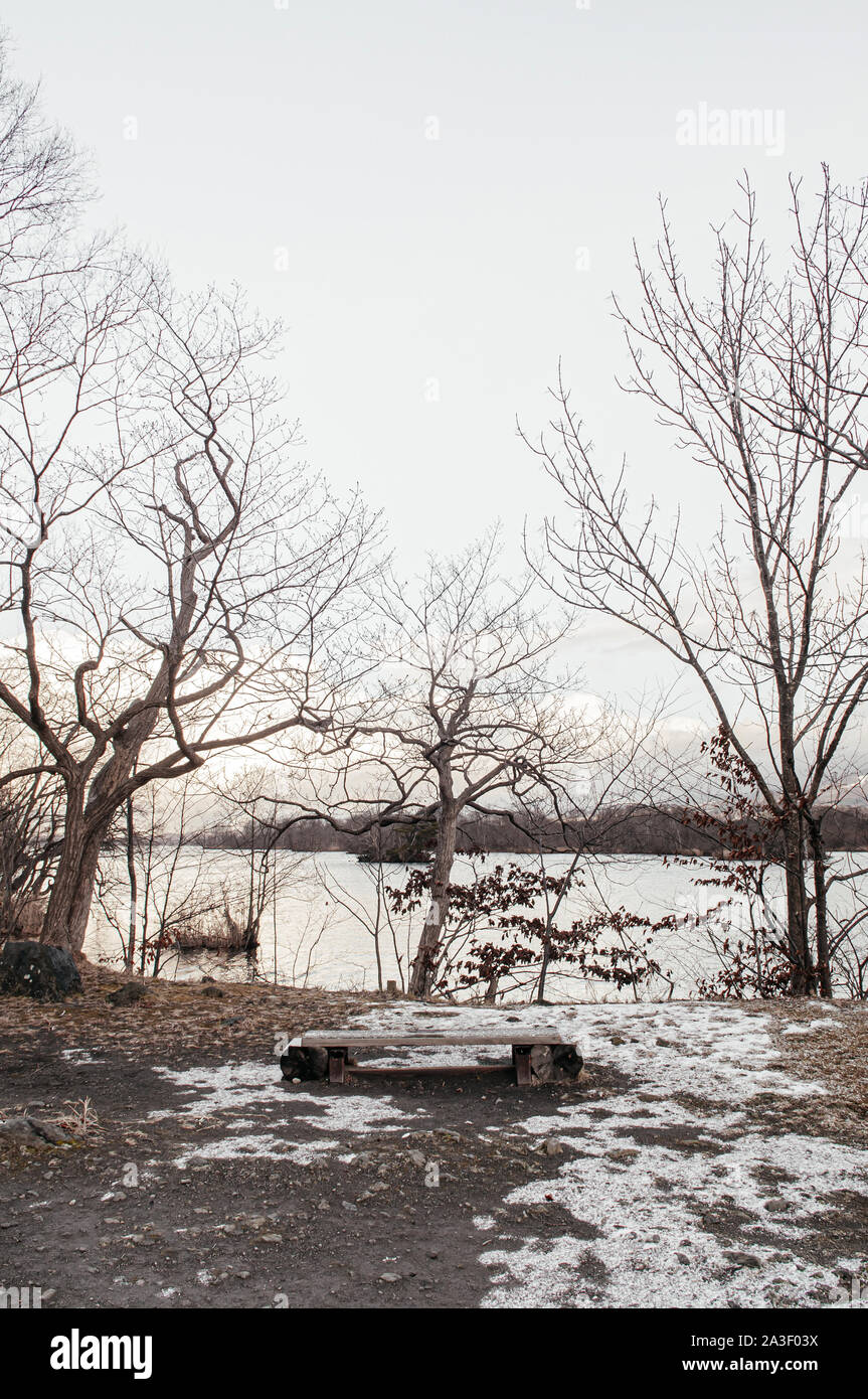 Onuma Koen Quasi -National park nature trail in peaceful cold winter ...