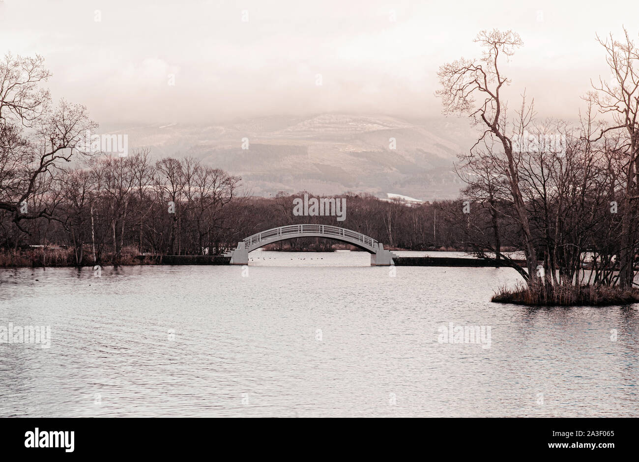 Onuma Koen Quasi -National park nature trail bridge in peaceful cold ...