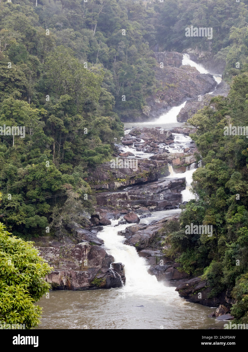 River in Ranomafana national park, Madagascar, Africa Stock Photo - Alamy