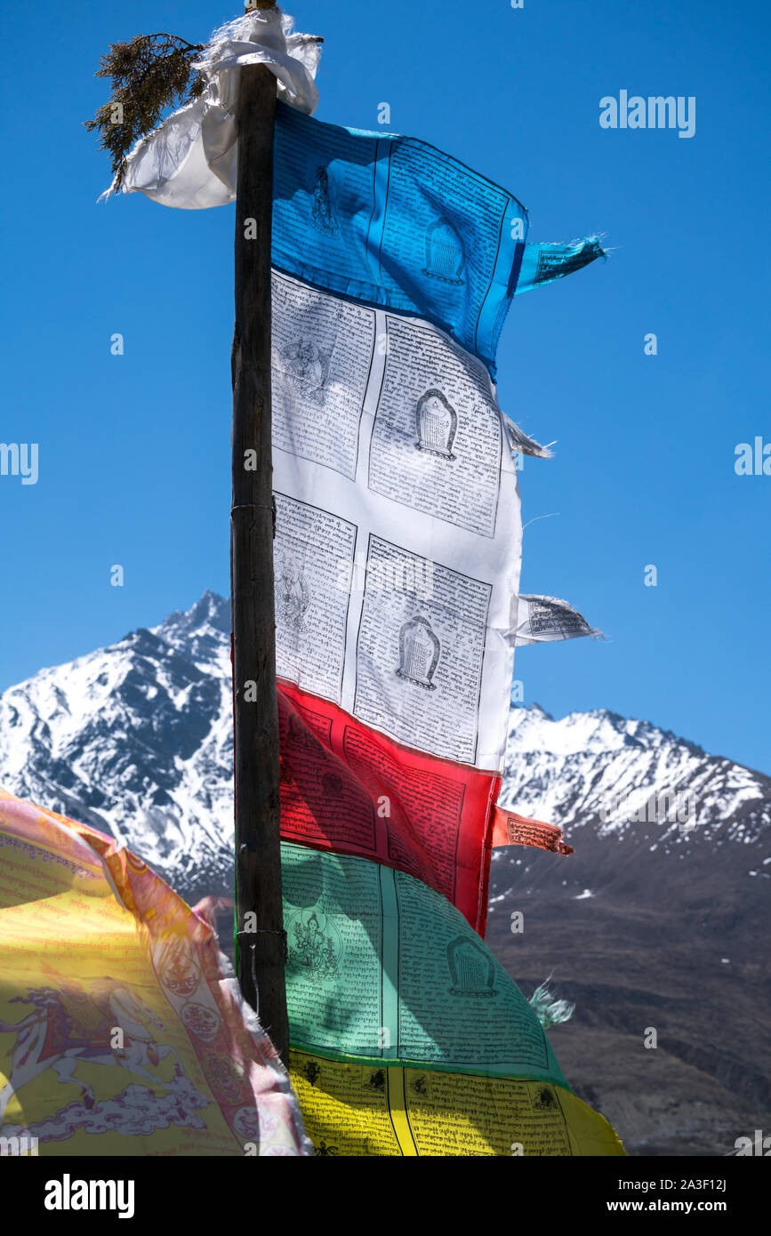 Tibetian prayer flags in Jhong, Mustang district, Nepal Stock Photo - Alamy